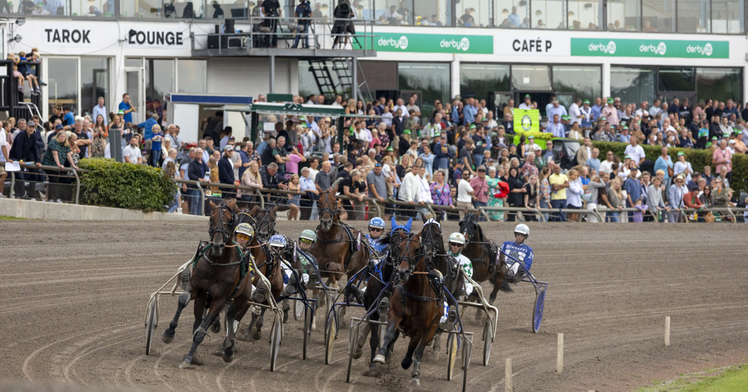 Sådan spiller du på heste Sådan spiller du på heste