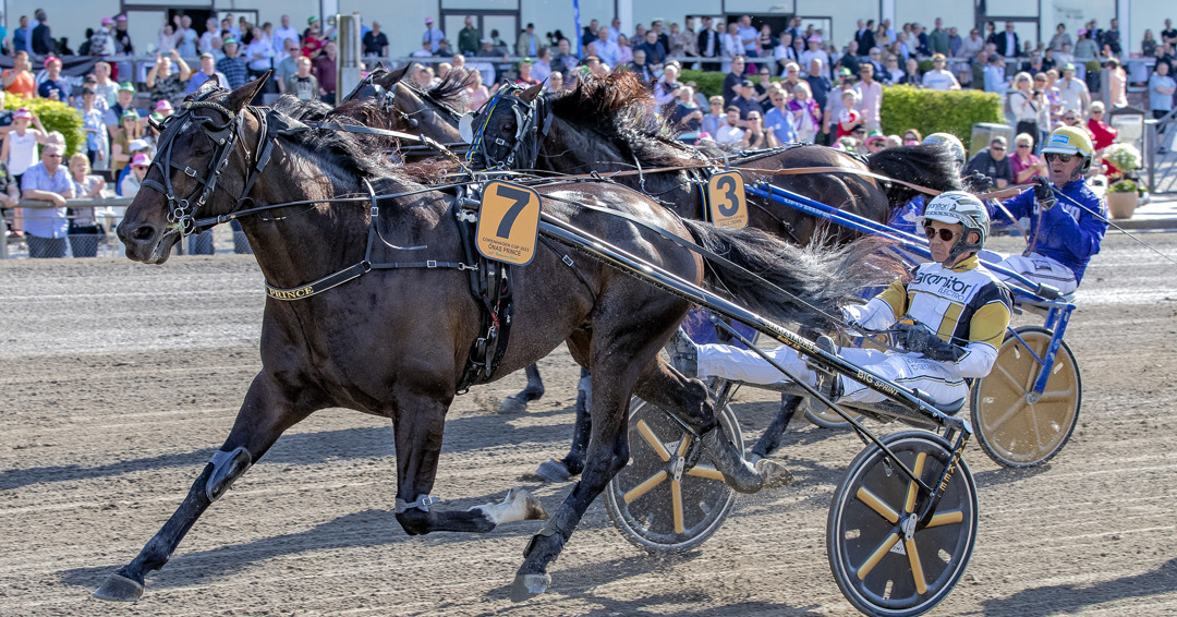 Startlisten til Menhammar Copenhagen Cup 2024