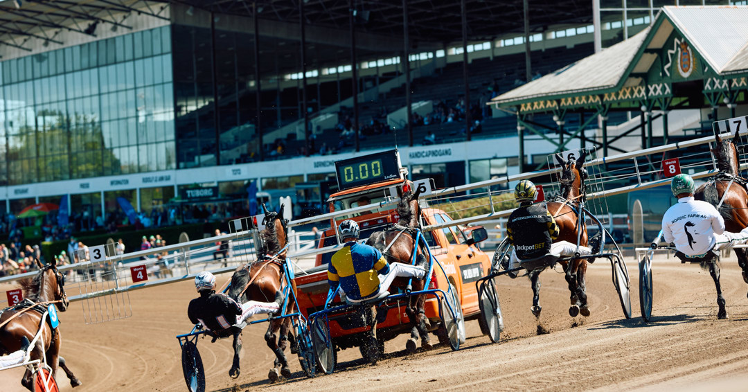 Charlottenlund Travbane - En sjov dag på væddeløbsbanen
